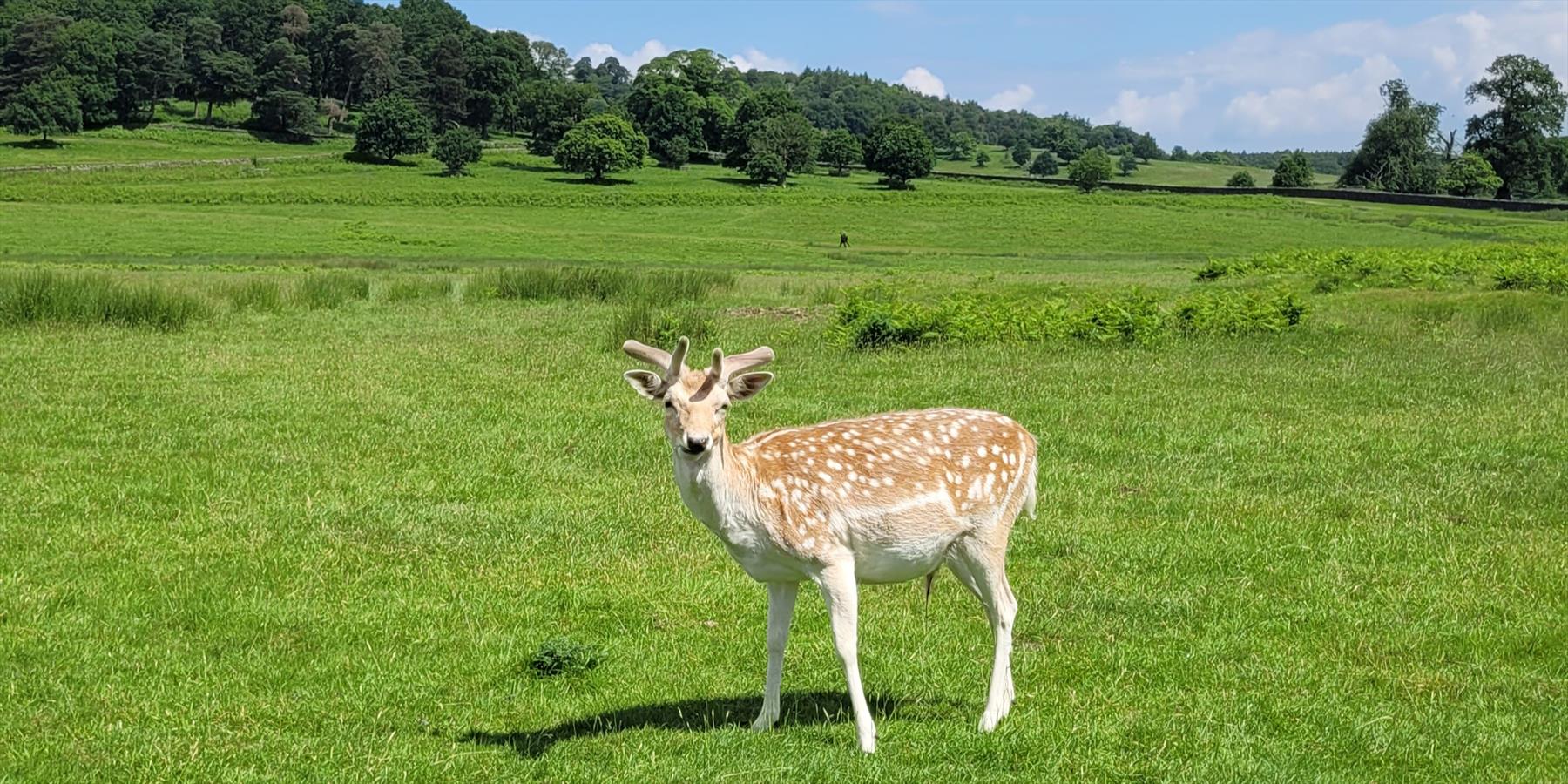 Leicestershire animal magic - Visit Leicester