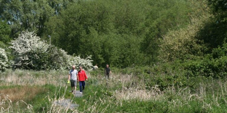 Aylestone Meadows - Visit Leicester