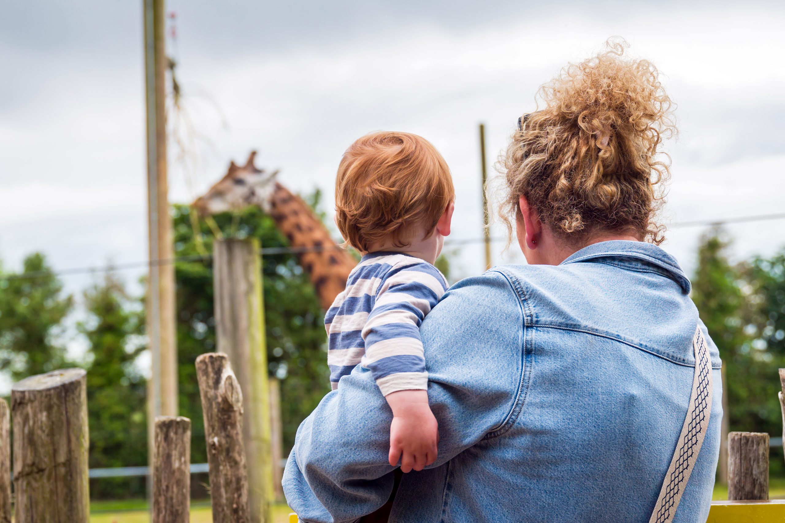 Fantastic Family Attractions across Leicestershire - Visit Leicester